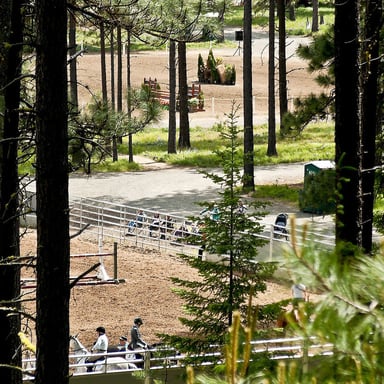 Home Page | Washington State Horse Park