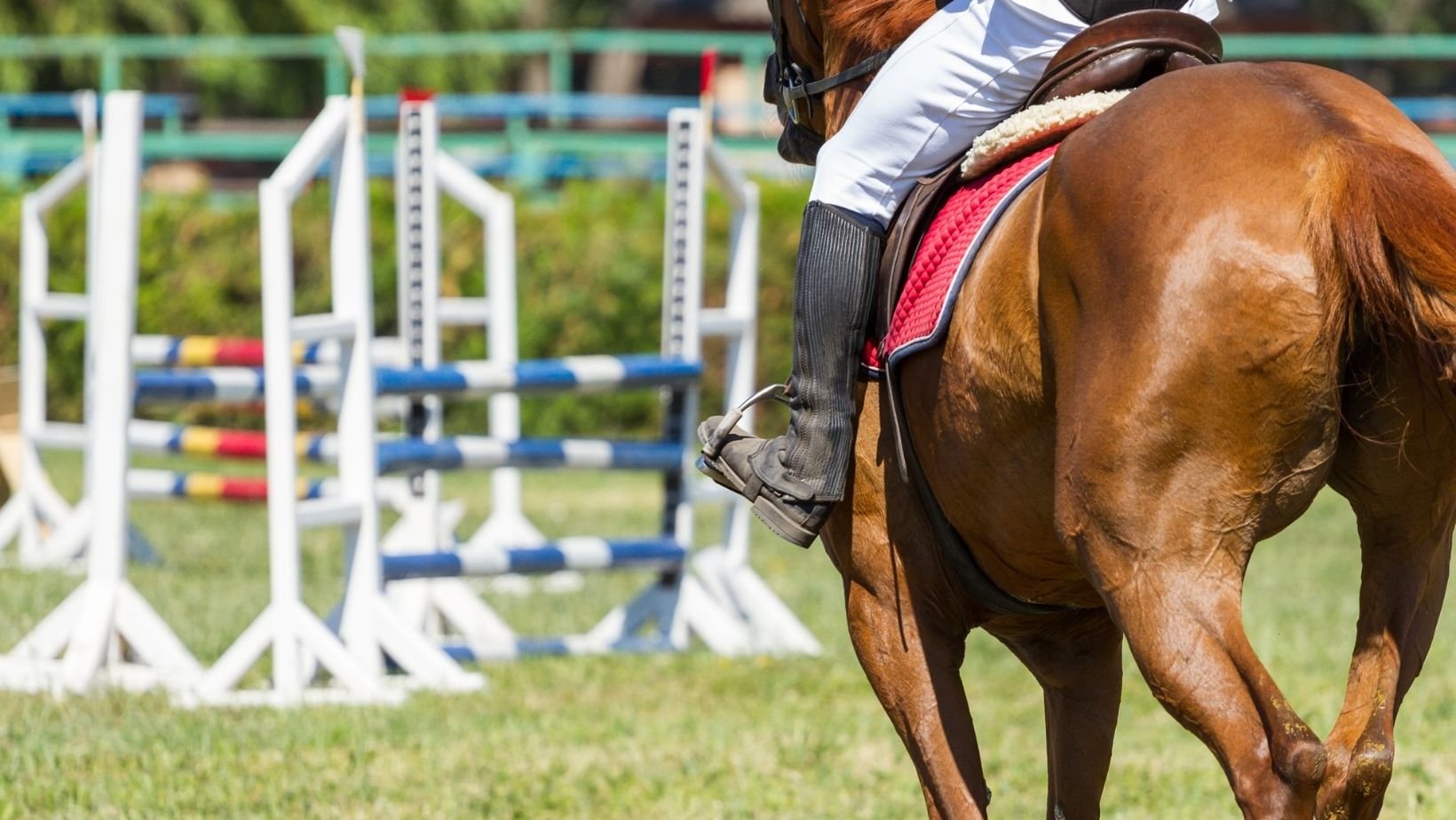 Our Story | Washington State Horse Park