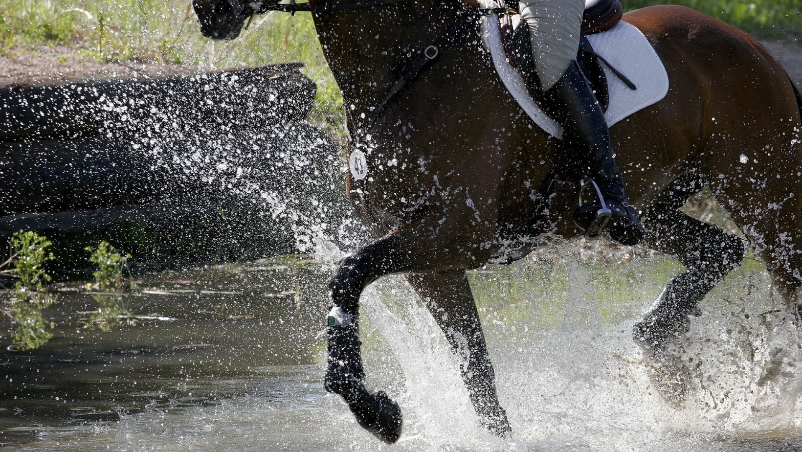 Our Story | Washington State Horse Park