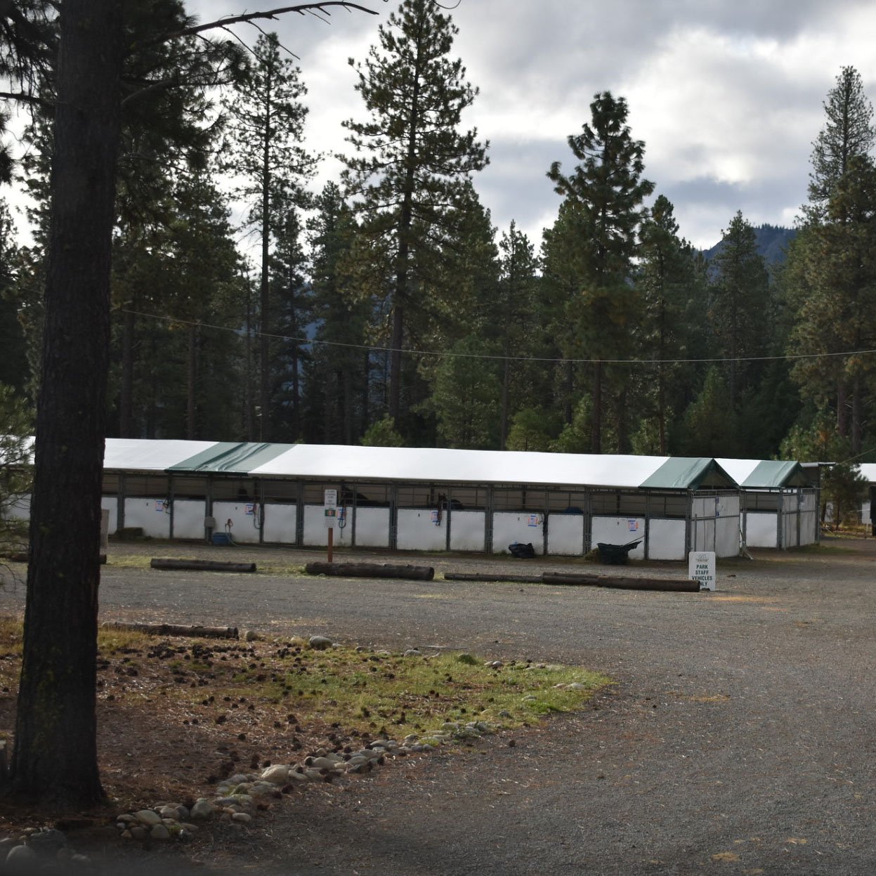 Home Page | Washington State Horse Park