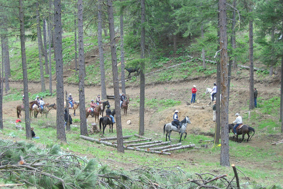 Trails | Washington State Horse Park