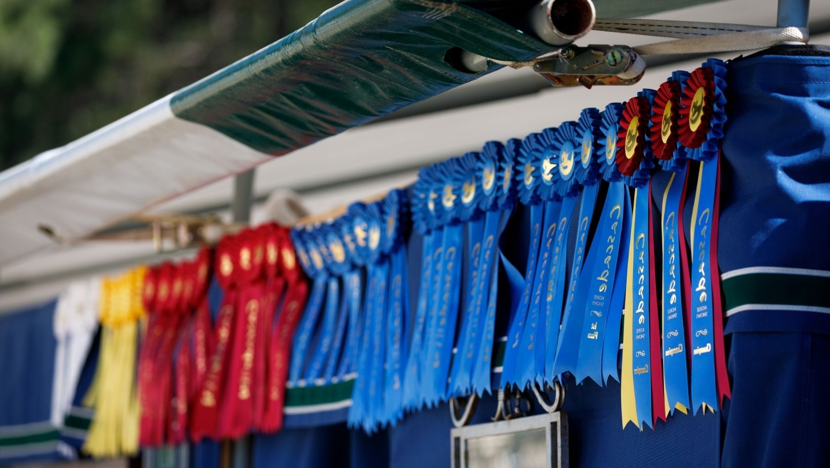 Winners Circle | Washington State Horse Park